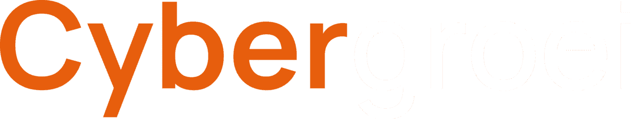 Cybergroei - Dutch Technology eXperts
